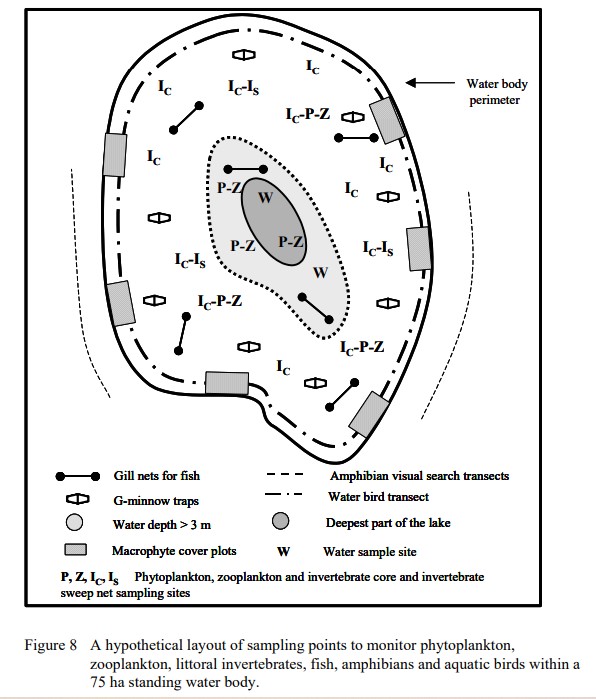 Developing Monitoring Protocols For Aquatic Ecosystems In Forested